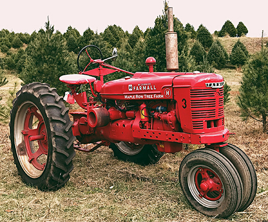 Oldtimer tractoren te koop